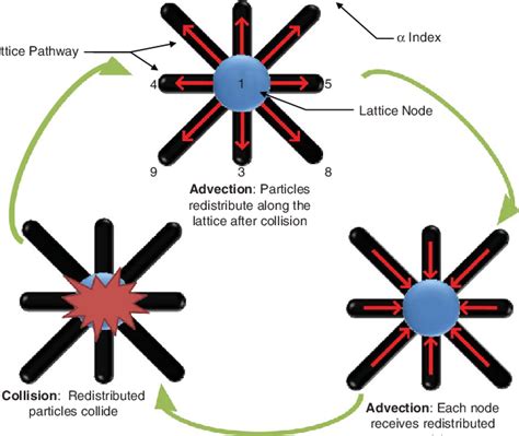 Repeated Advection And Collision Processes In The Lattice Boltzmann Download Scientific Diagram