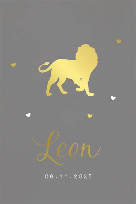 Geboortekaartjes Leeuw Stoer And Uniek Pretty Orange