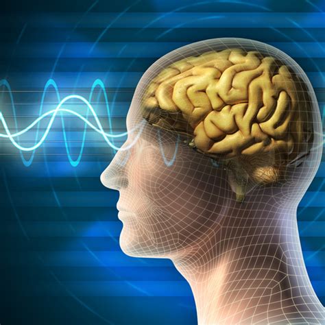 Advanced Comprehension And Memory Course Online Iris Reading