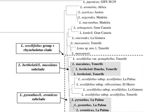 6B Maximum Likelihood Tree Recovered Using A Data Set Of Six Genes And Download Scientific