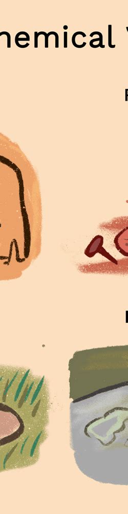 Hydrolysis Definition And Examples Chemistry