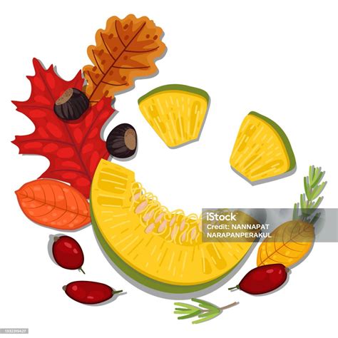 손으로 그린 플랫 레이 흰색 배경에 고립 된 성분의 음식 놀링 스타일 벡터 일러스트 가을 비건 성분 호박 야생 열매 자두 붉은 단풍 나무 잎 로즈마리 나뭇 가지 0명에 대한