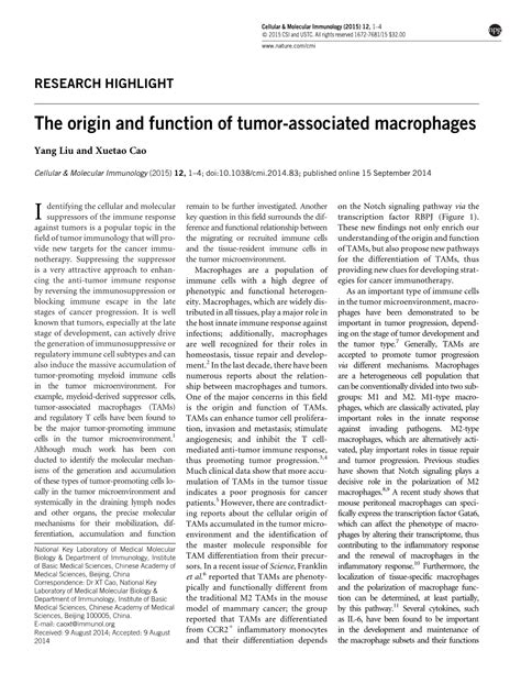 The Origin And Function Of Tumor Associated Macrophages Docslib