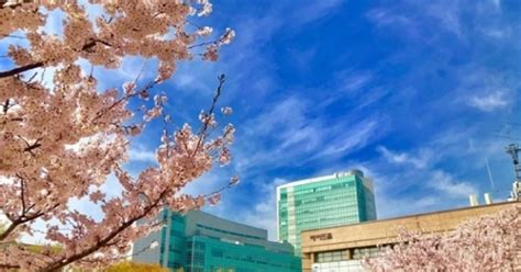 숭실대학교 글로벌미래교육원 졸업 시 숭실대 총장 명의 학사학위 취득