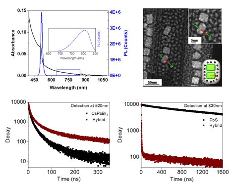Inorganic Perovskite Nano Structures