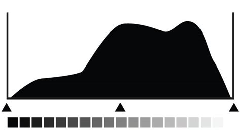 How To Use Histograms Acdsee Community