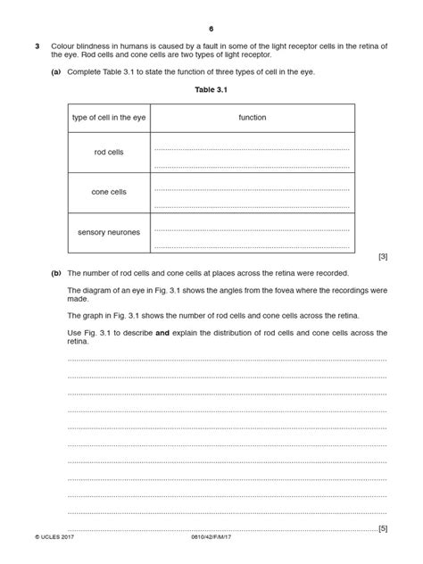 Block Worksheet Pdf Enzyme Genotype
