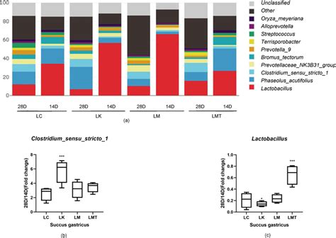 The Composition Of The Succus Gastricus Microbiota At The Genus Level