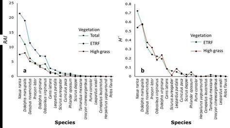 Relative Abundance And Proportional Abundance Of Medium Sized And Large