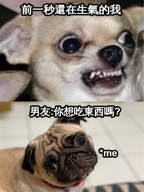 食物是和解萬能藥