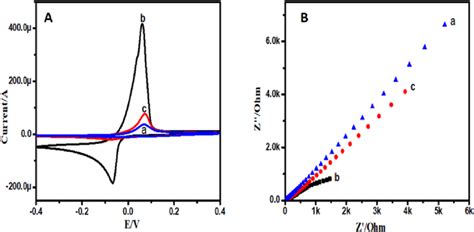 A Cyclic Voltammograms Of Aptamer Unmodified And Modified Electrode In