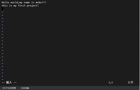 Vim快速上手极简操作练习 第一篇vim 在线练习 Csdn博客