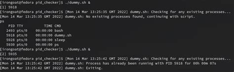 Github 0xirongoatpid Checker Prevent Duplicate Instances Of Bash