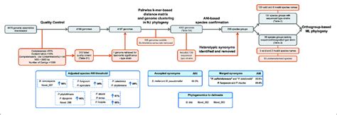 Curation And Classification Of Genomes Into Species Groups A Download Scientific Diagram