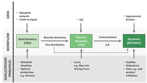 Design Principles As A Guide For Constraint Based And Dynamic Modeling Towards An Integrative