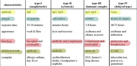 Types Of Hypersensitivity Chart Minga
