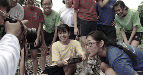 Color Assimilation Grid Illusion