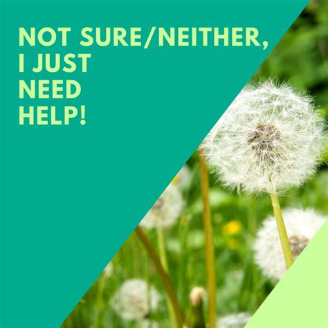 Introvert Business Coaching Help Introvertology