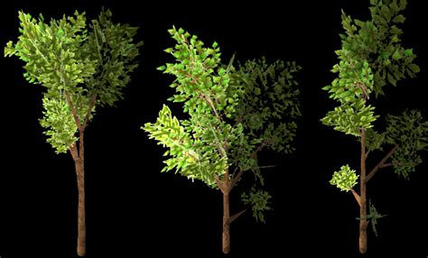 Procedural Tree Generator IL CHOI S Project Site