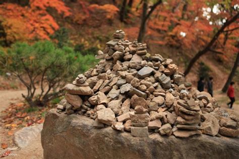 Yeongju Buseoksa Temple And Sosuseowon Confucian Academy Day Tour Klook