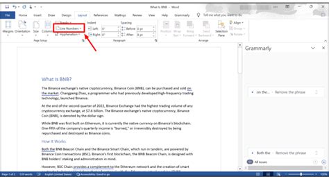 How To Add Line Numbers In MS Word Step By Step Pics