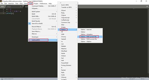 命令窗口 及 Sublime Text 中python的调试sulime Text Print Csdn博客
