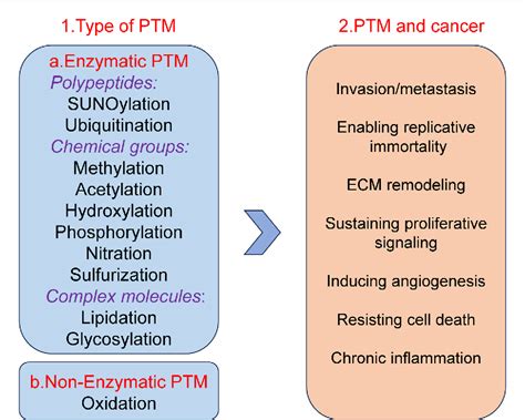 Figure 1 From Implication Of Protein Post Translational Modifications In Gastric Cancer