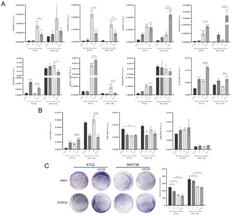 Modulation Of Ezh2 Activity Induces An Antitumoral Effect And Cell Redifferentiation In