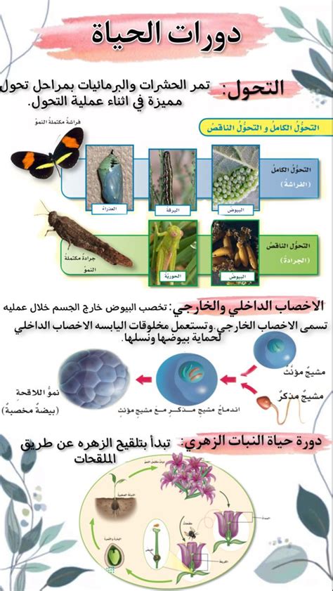 كيف تصنع مطوية عن دورات الحياة للصف الخامس