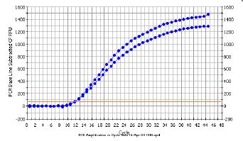 Plant Fungi RNA Purification Kit