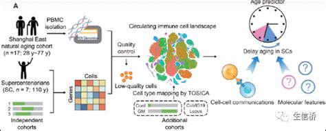 【文献解读】单细胞rna测序揭示超级百岁老人的衰老秘密 知乎