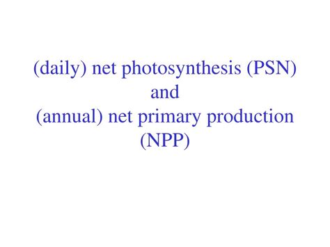 Ppt Daily Net Photosynthesis Psn And Annual Net Primary Production Npp Powerpoint