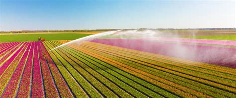 Remote Irrigation Monitoring And Management Hobo Data Loggers