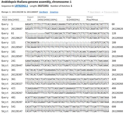 Alignment Algorithms Bioinformaticamente