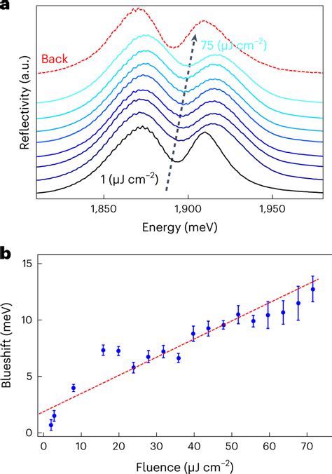 Nonlinear Shift Of The Polariton Bic A Reflection Spectra Of The