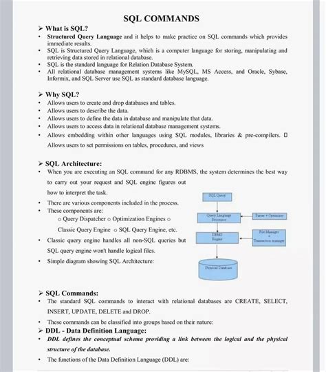 Coder 🐝 Developer 🐝 Programmer 📌 Internship Alert📌📌 😍big Opportunity