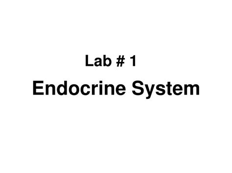 PPT Lab 1 PowerPoint Presentation Free Download ID 1930812