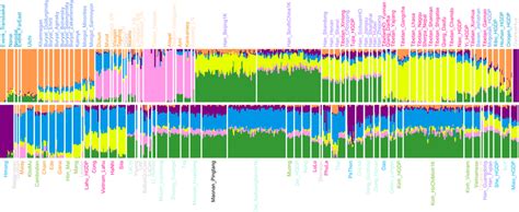 Model Based Admixture Analysis Showed The Admixture Composition Of