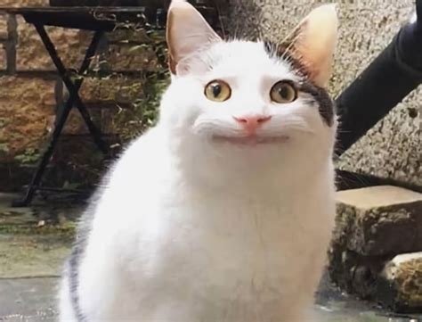 How To Install Postgresql