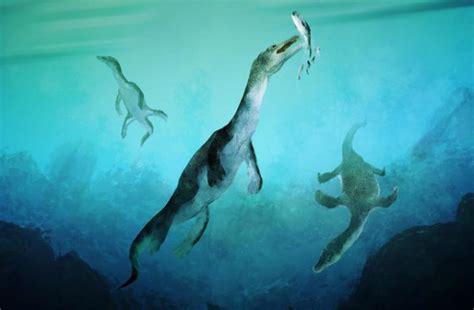 A 240 Million Year Old Aquatic Reptile Fossil Challenges When Reptiles