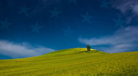 Usda Purchase Home Loans Pre Approvals In All 50 States