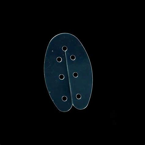 Bivalve Nasal Splint At Rs 4000 In Mumbai Id 14865033133