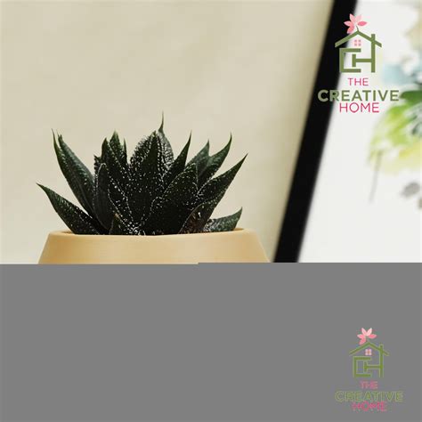 Eva Ginger The Creative Homes