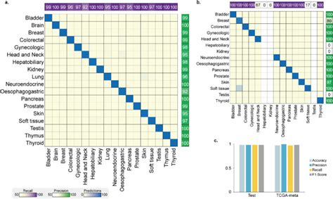 Image Based Deep Learning Model Using Dna Methylation Data Predicts The Origin Of Cancer Of