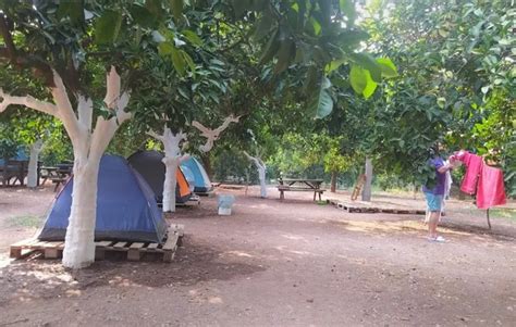 Adrasan Pusula Camping Campalow