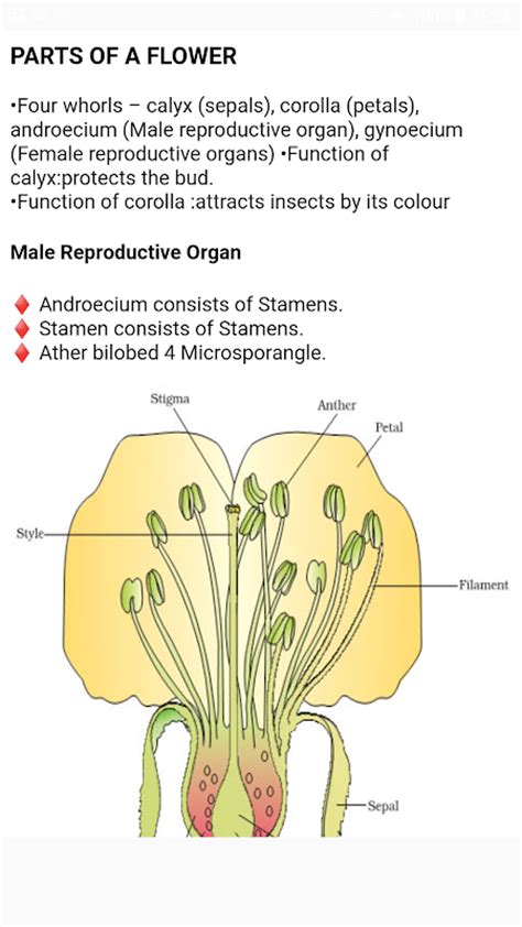Android 용 12th Class Pcb Notes Offline Apk 다운로드