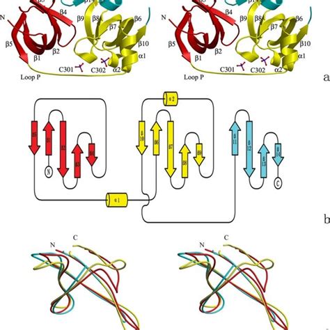 The Phosphate Binding Pocket And Its Influence On The Function Of