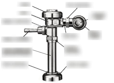 Flush Valve Assembly Diagram Quizlet