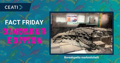 Dhwani Patel Meng Posted On Linkedin