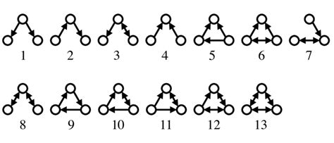 9 Network Motifs Diagram Showing All 13 Possible Three Node Motifs